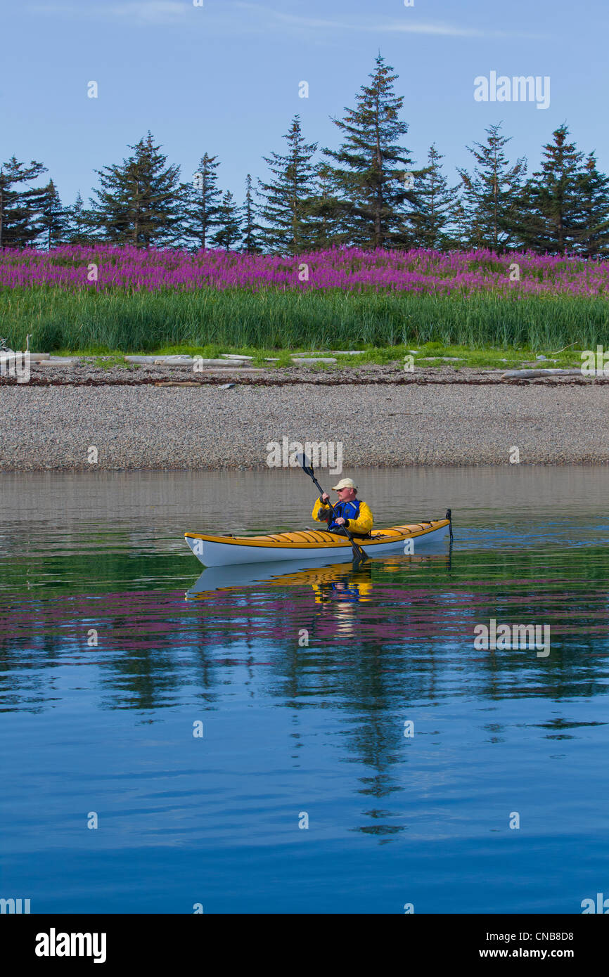 Sea kayaker paddles along the shoreline near Juneau with Fireweed field ...