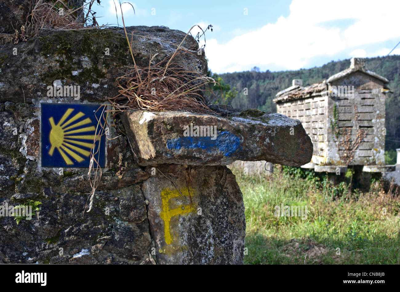 Lira galicia hi-res stock photography and images - Alamy
