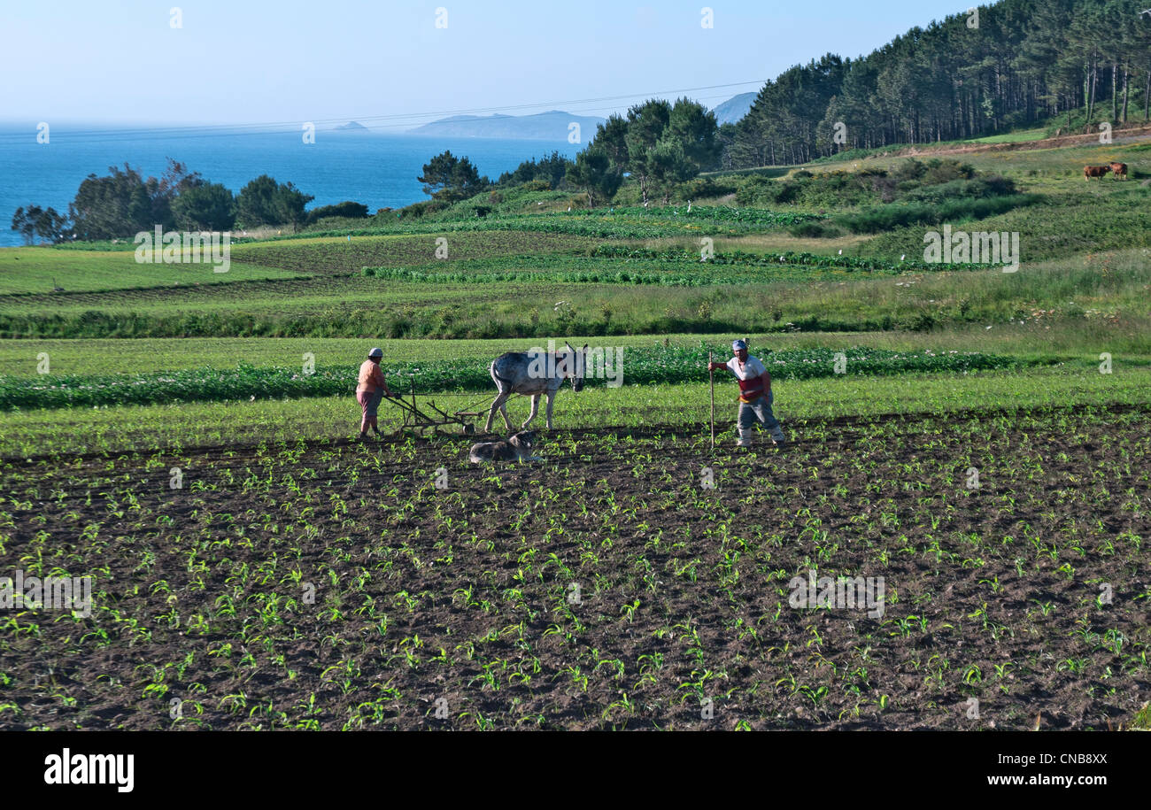 Land plots hi-res stock photography and images - Alamy