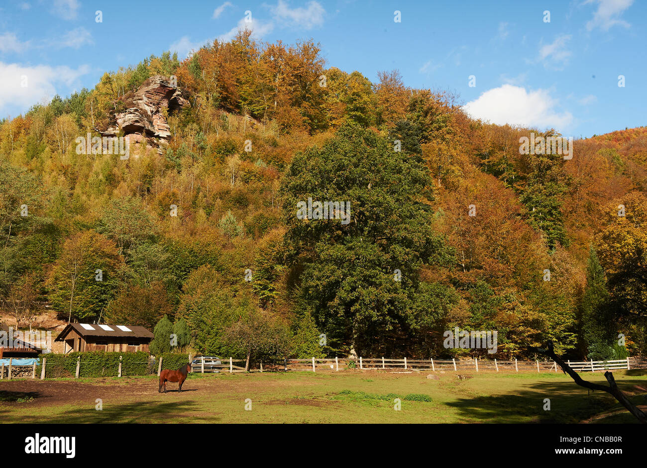 Philippeville hi-res stock photography and images - Alamy