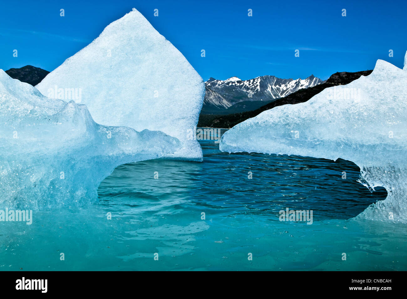 Close up of an iceberg from McBride Glacier in Muir Inlet, Glacier Bay ...