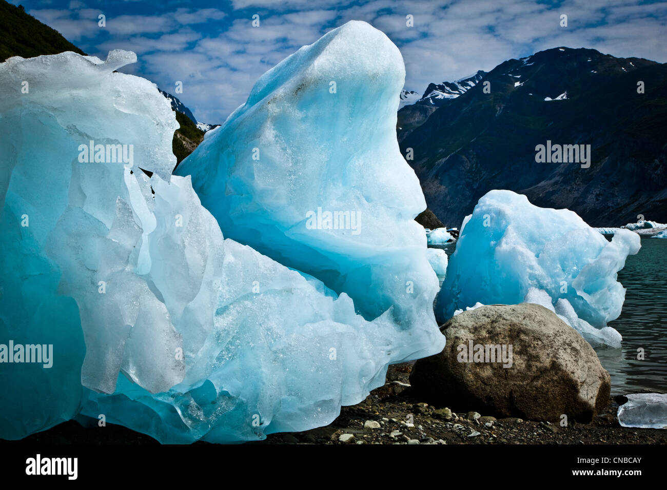 Icebergs from McBride Glacier stranded on shore at low tide, Muir Inlet ...
