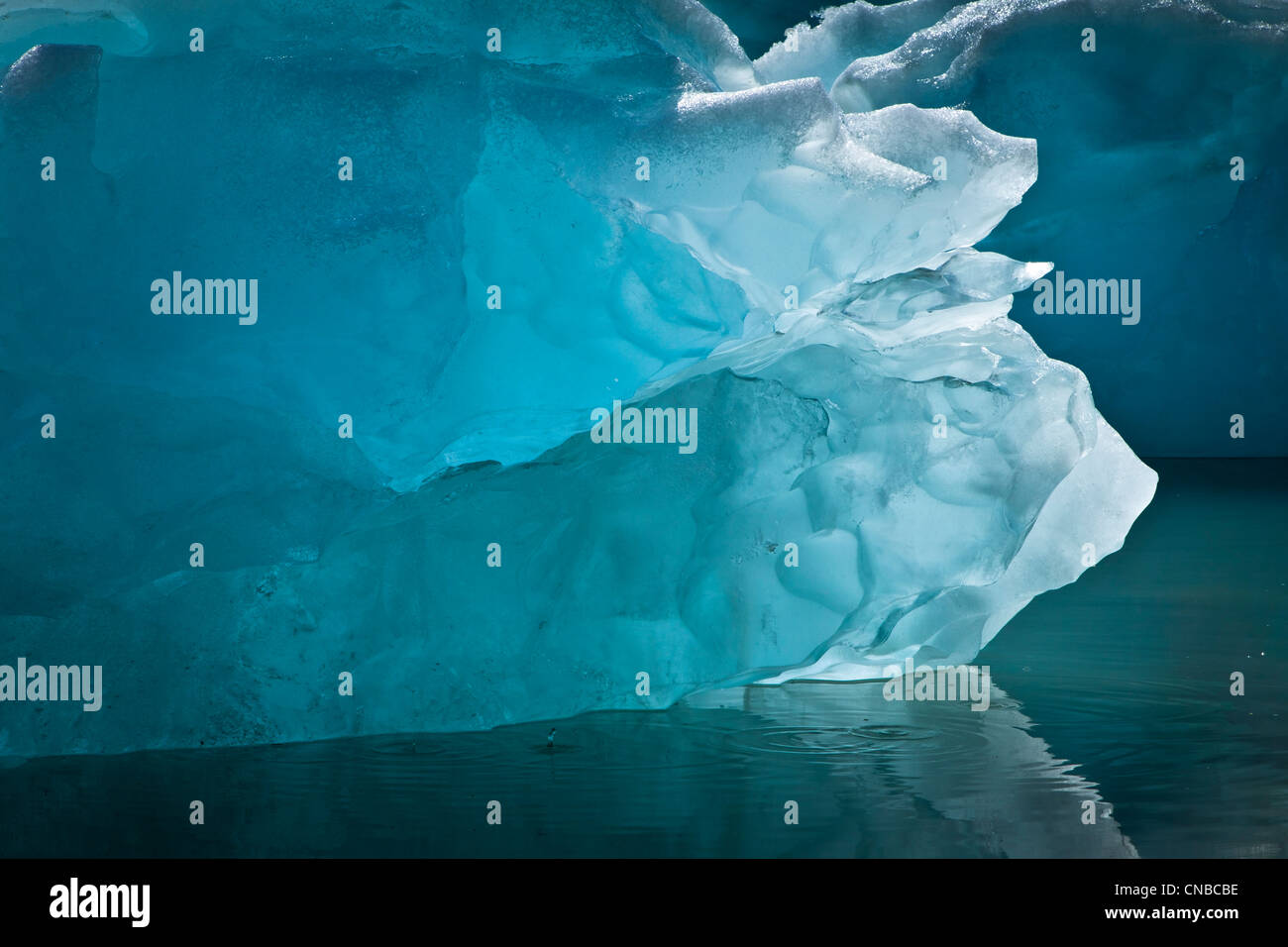 Icebergs from McBride Glacier, Muir Inlet, Glacier Bay National Park ...