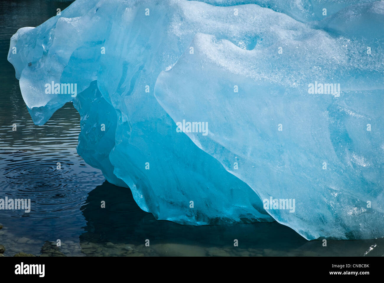 Icebergs from McBride Glacier, Muir Inlet, Glacier Bay National Park ...
