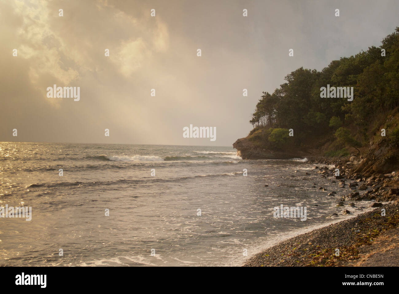 Where the forest meets the sea hi-res stock photography and images - Alamy