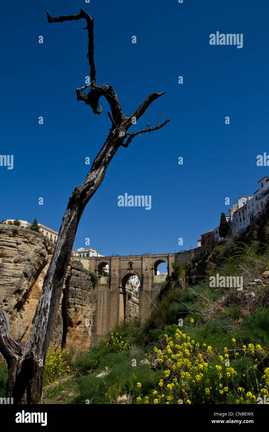Ronda spain bridge hi-res stock photography and images - Alamy