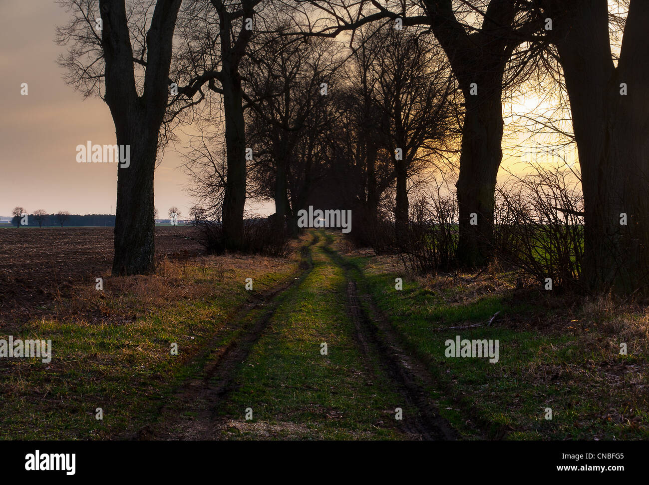 Wallpaper avenue hi-res stock photography and images - Alamy