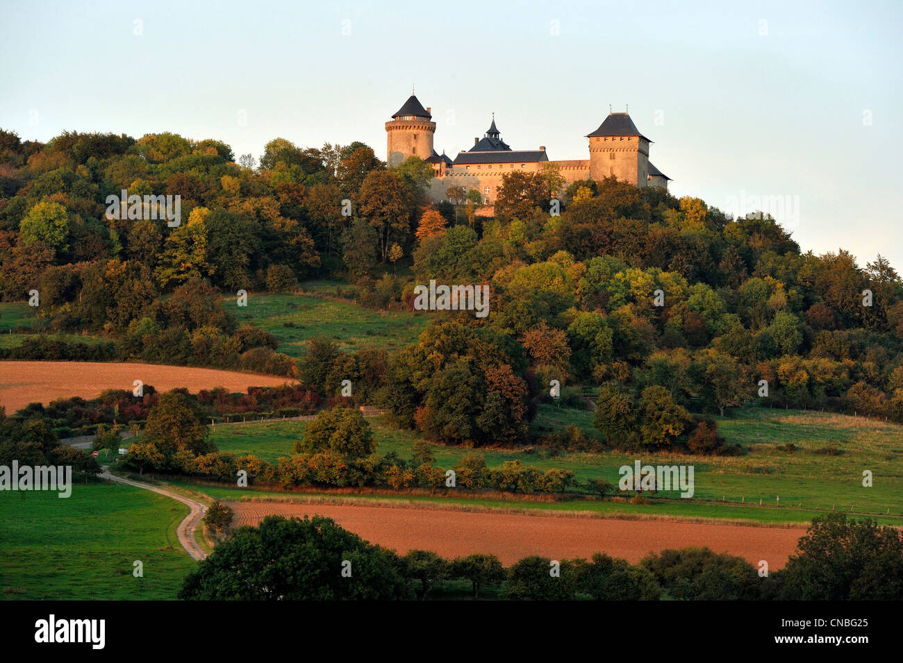 France, Moselle, Manderen, Malbrouck medieval castle Stock Photo - Alamy