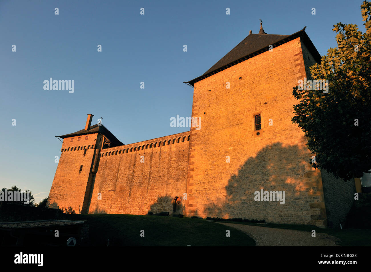 France, Moselle, Manderen, Malbrouck medieval castle Stock Photo - Alamy