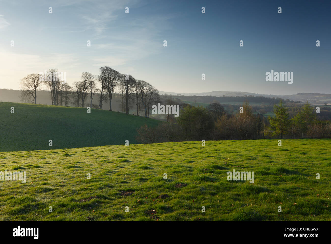 Cricket St Thomas Estate in Spring. Somerset. England. UK Stock Photo ...