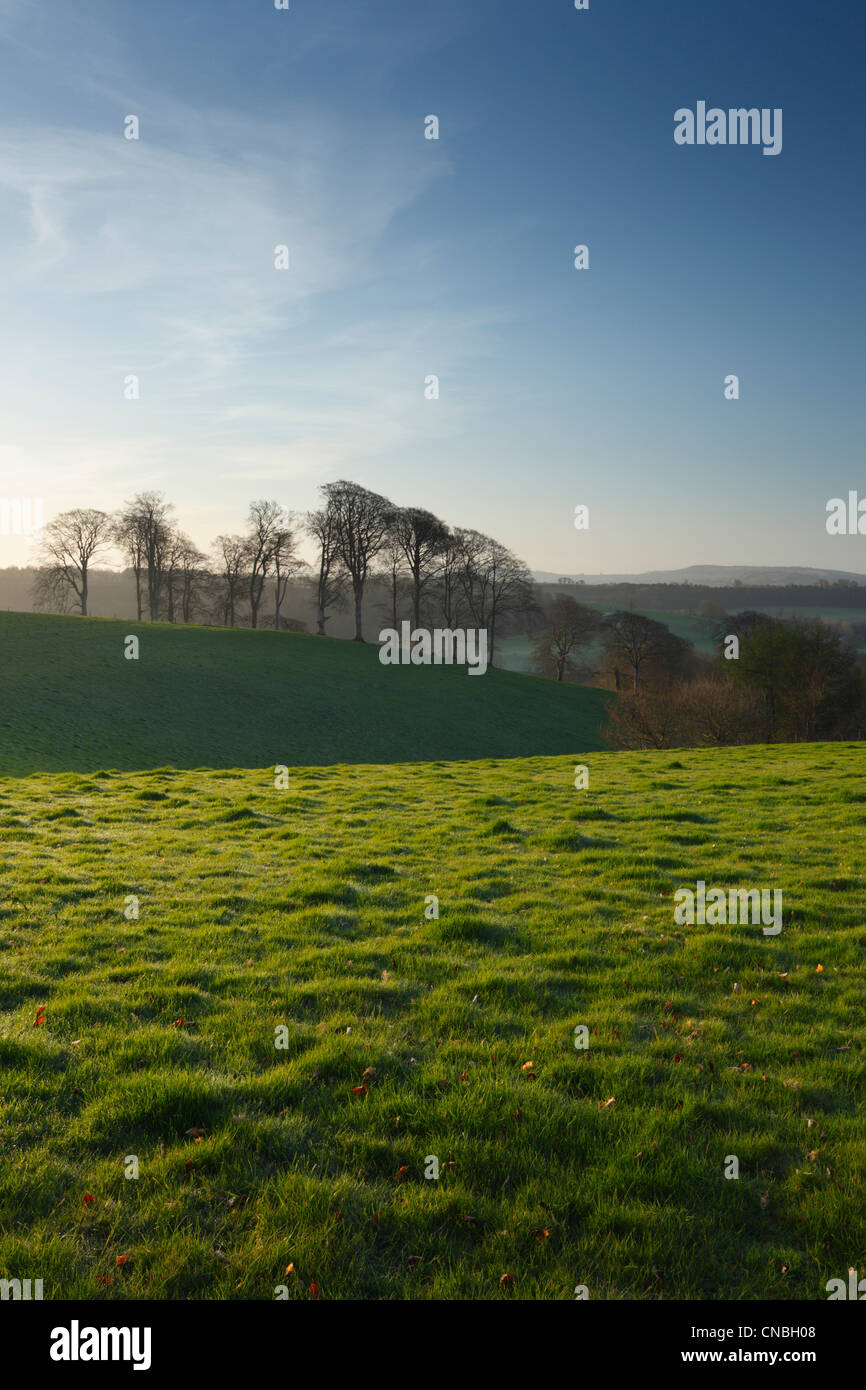 Spring Thomas High Resolution Stock Photography and Images - Alamy