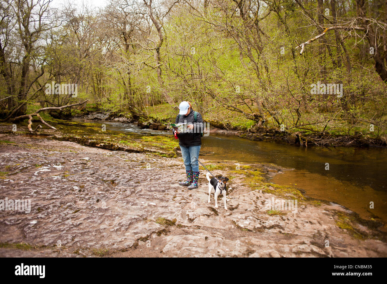 Dog reading map hi-res stock photography and images - Alamy