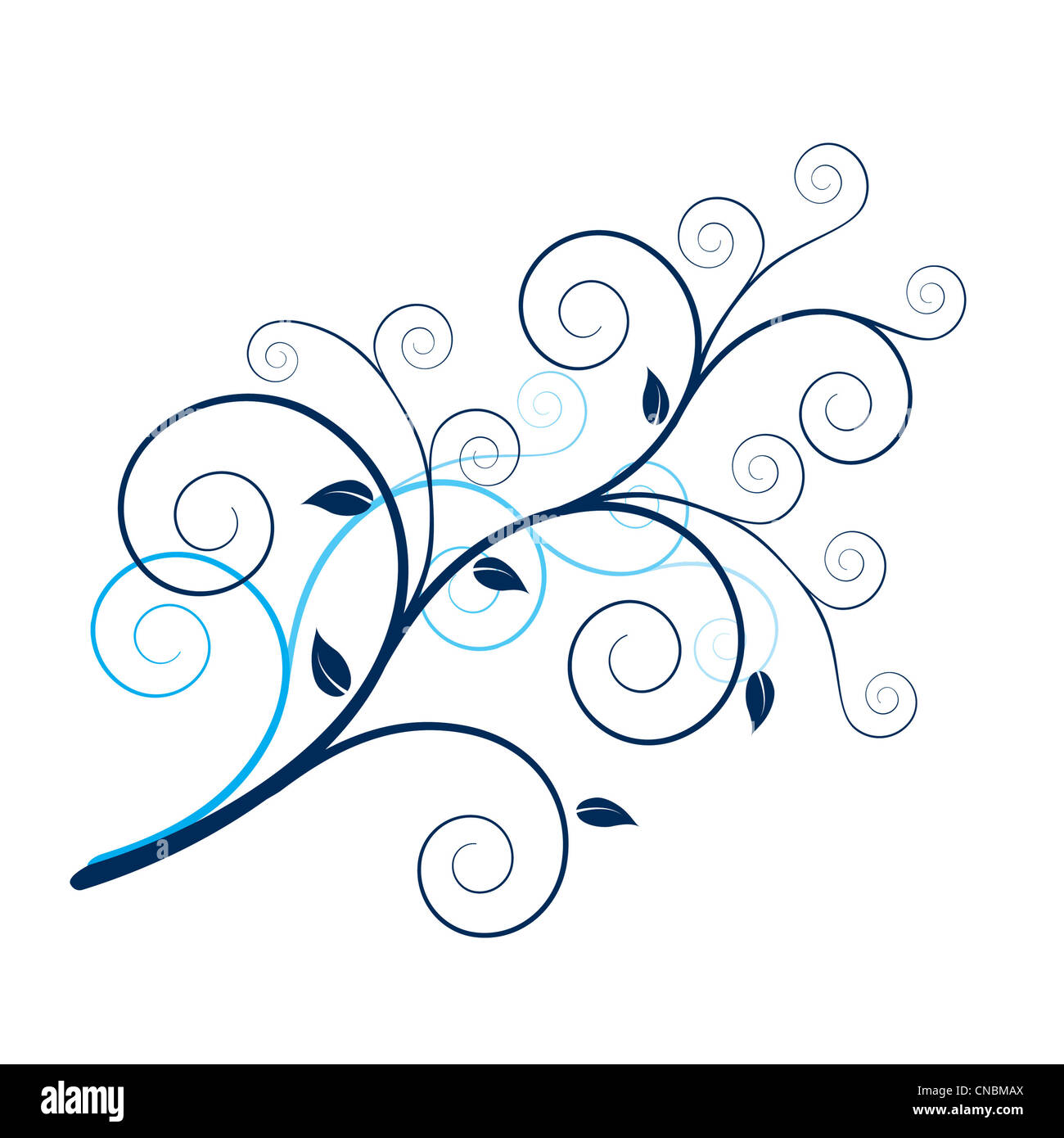 Illustration drawing of design elements. Plant on white Stock Photo - Alamy