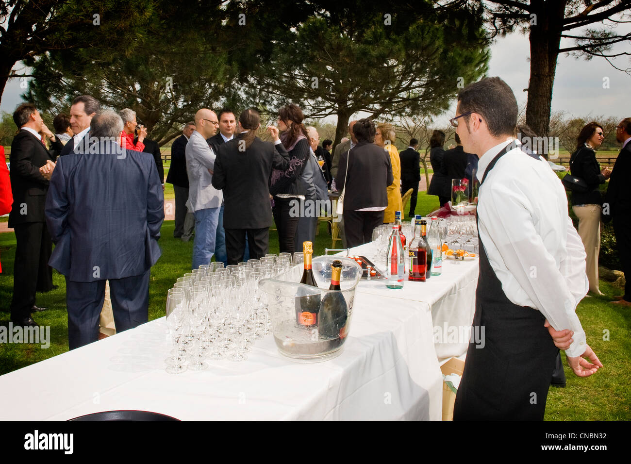 Party, American style wedding Stock Photo - Alamy