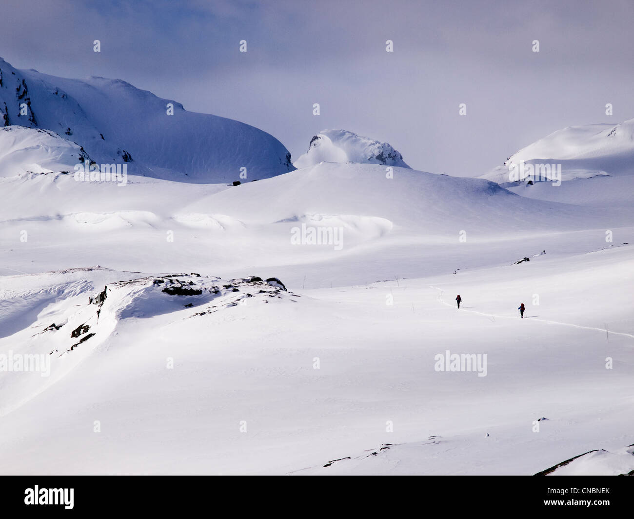 2 people ski touring in the Hardanger region of Norway Stock Photo - Alamy