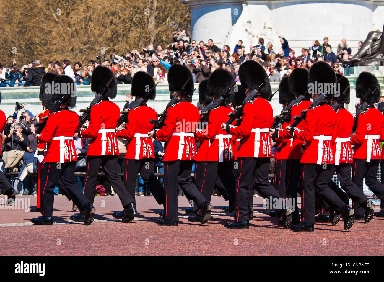 Irish guards marching Stock Photo - Alamy