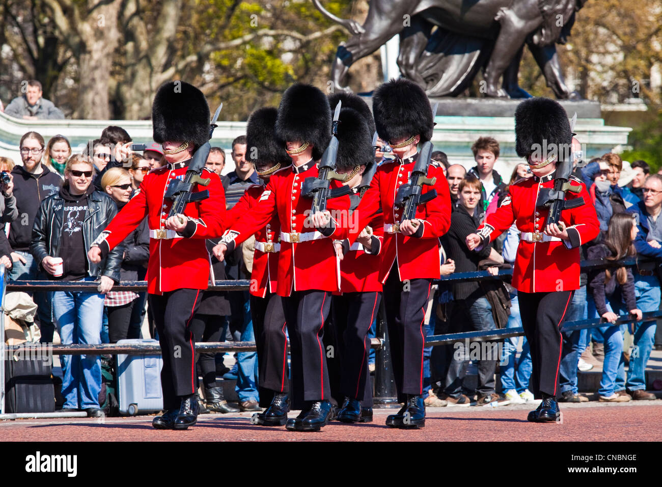 Irish guards marching Stock Photo - Alamy