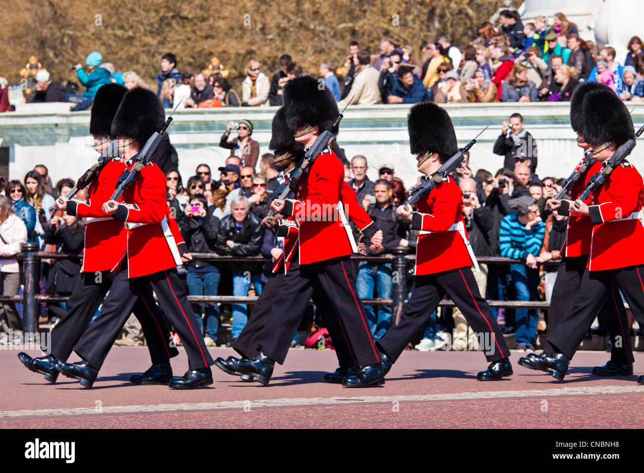 Irish guards marching Stock Photo - Alamy