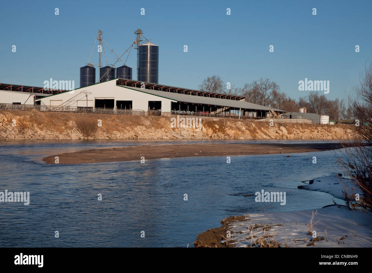 industrial barn and grain elevators of cattle ranch on shore of South ...
