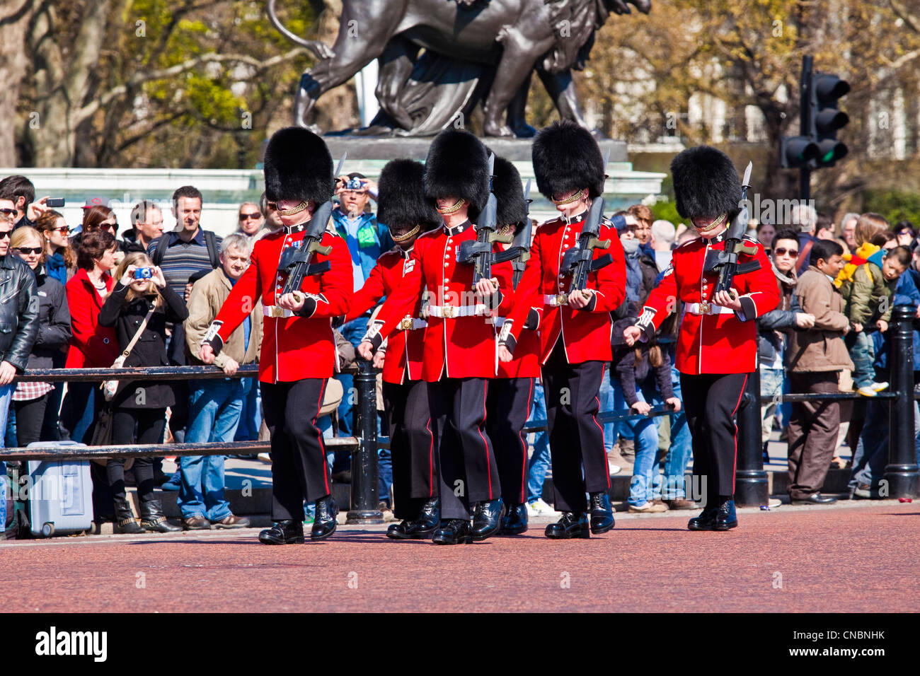 Irish guards marching Stock Photo - Alamy