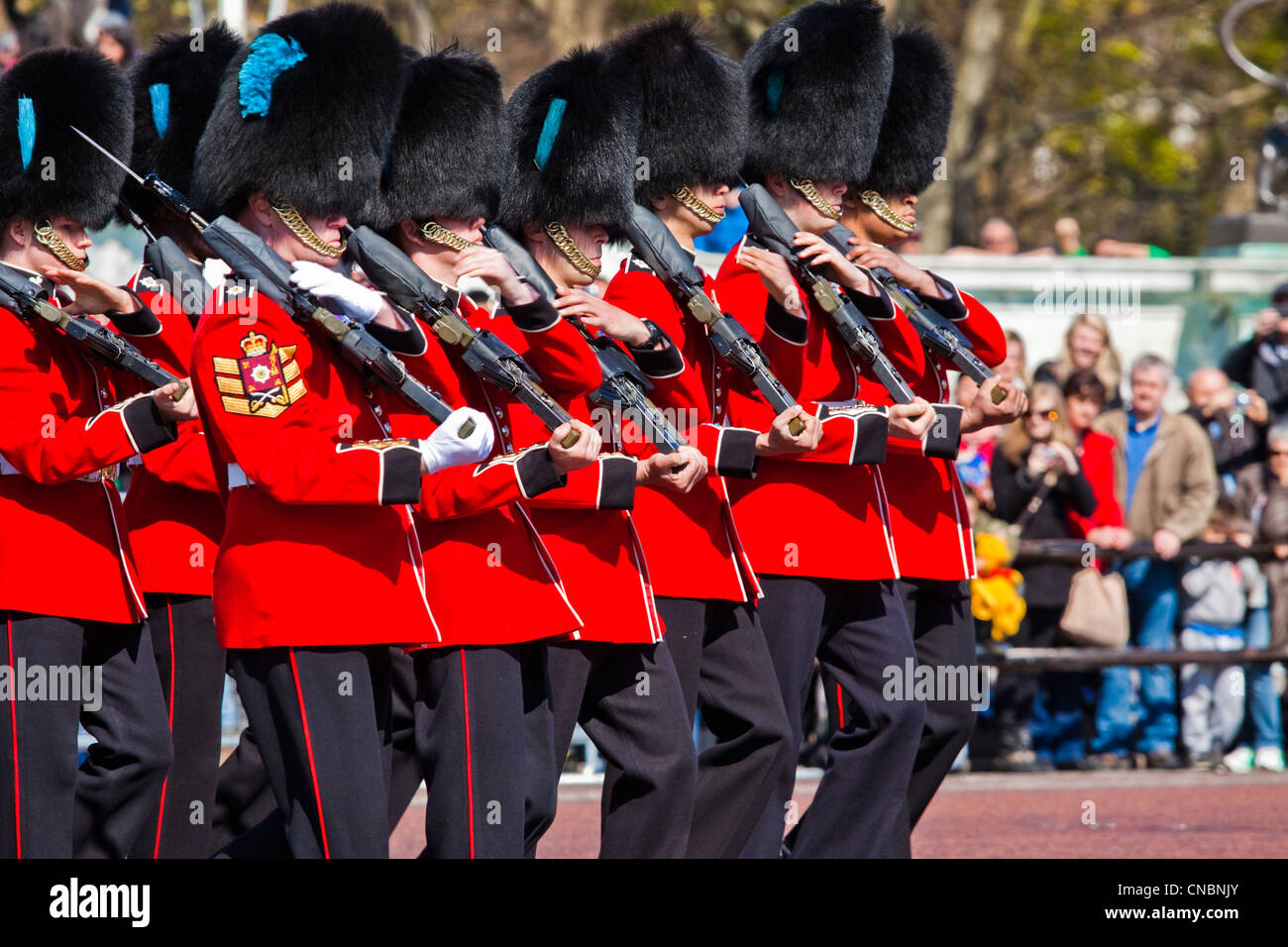 Irish guards marching Stock Photo - Alamy