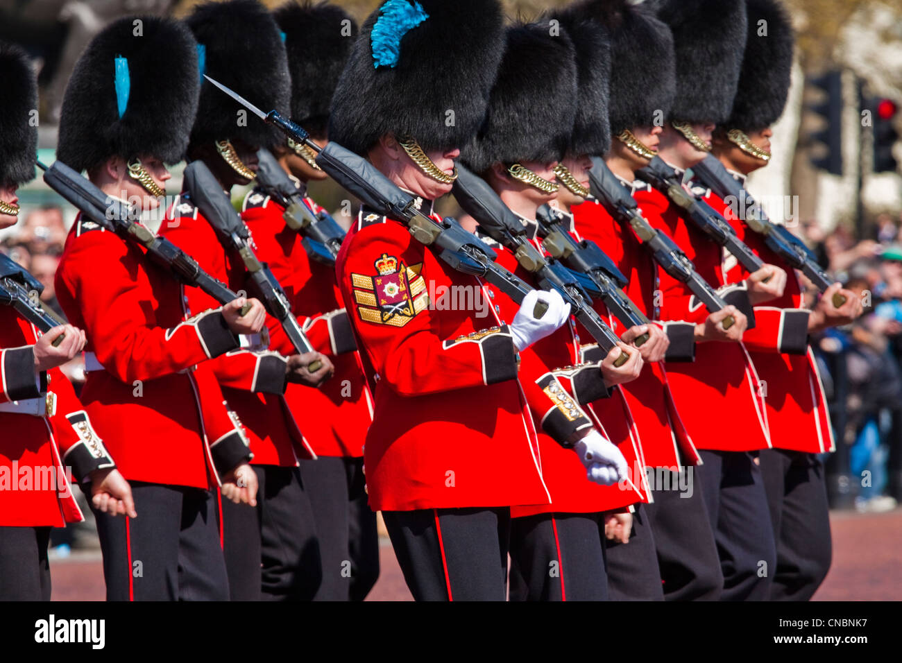 Irish guards marching Stock Photo - Alamy