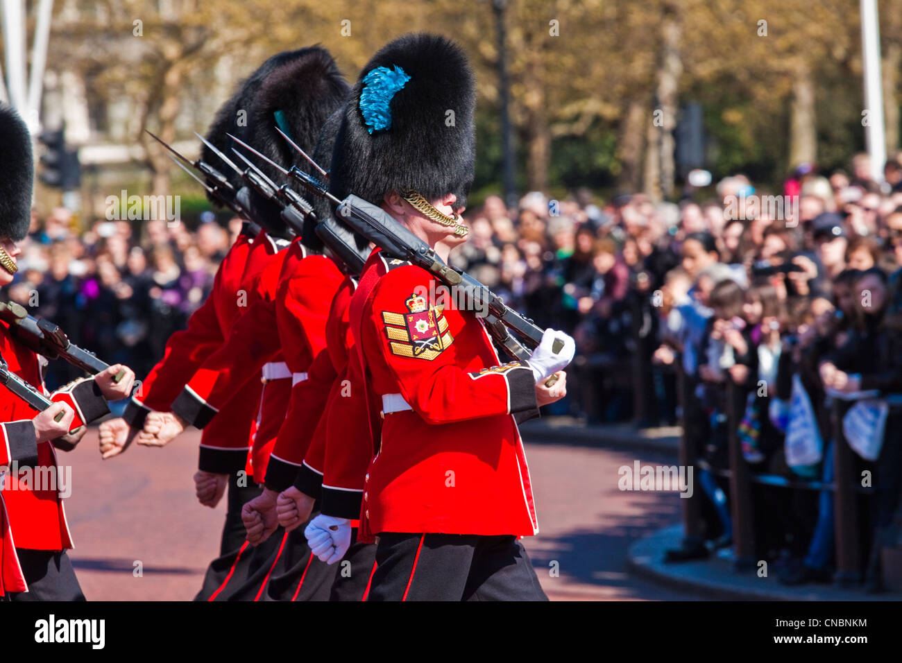 Irish guard marching hi-res stock photography and images - Alamy