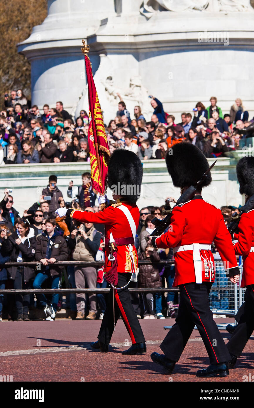 Irish guards officer with the Colours Stock Photo - Alamy