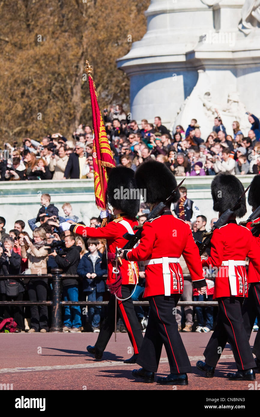 Irish guards officer with the Colours Stock Photo - Alamy
