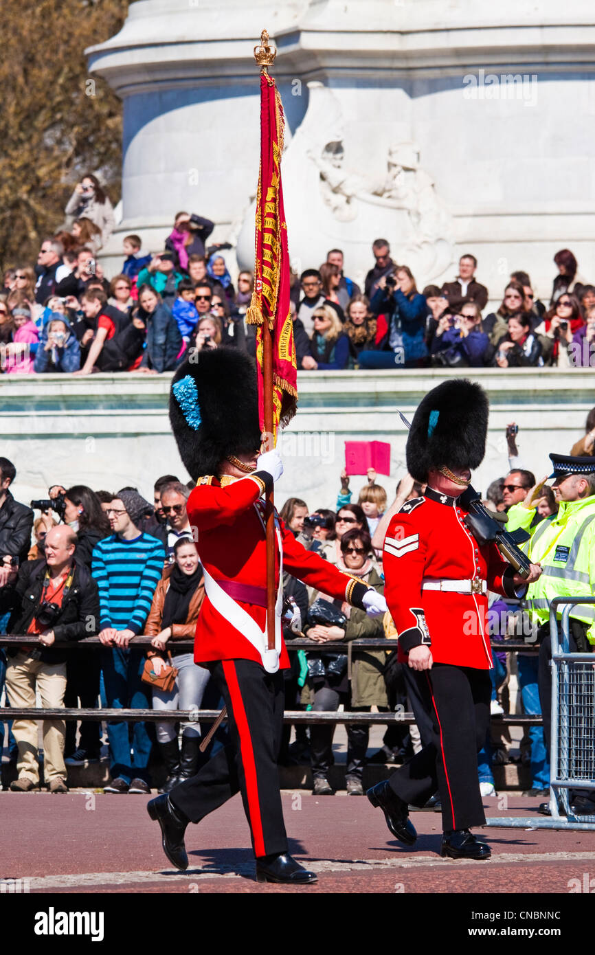 Irish guards officer with the Colours Stock Photo - Alamy