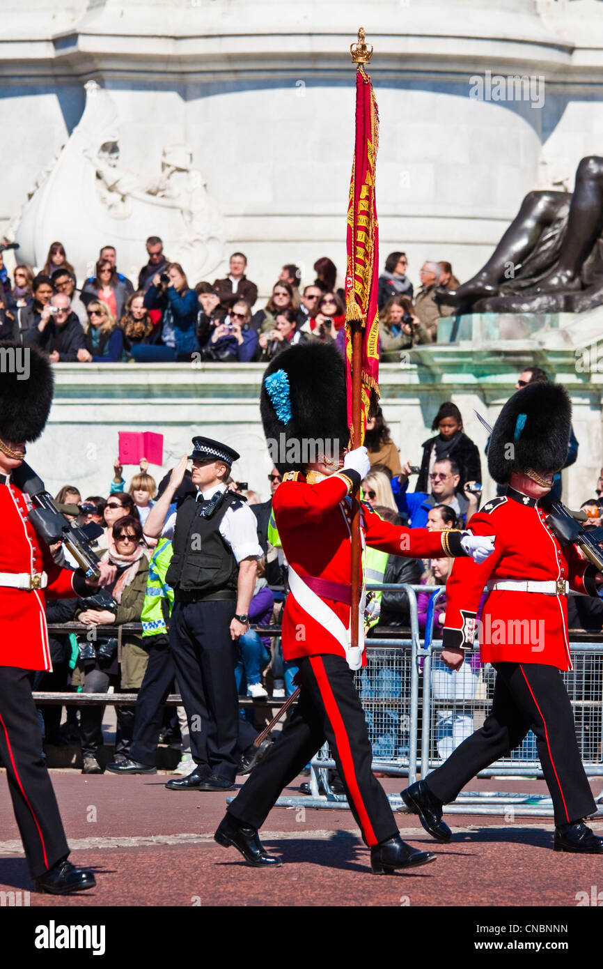 Irish guards officer with the Colours Stock Photo - Alamy
