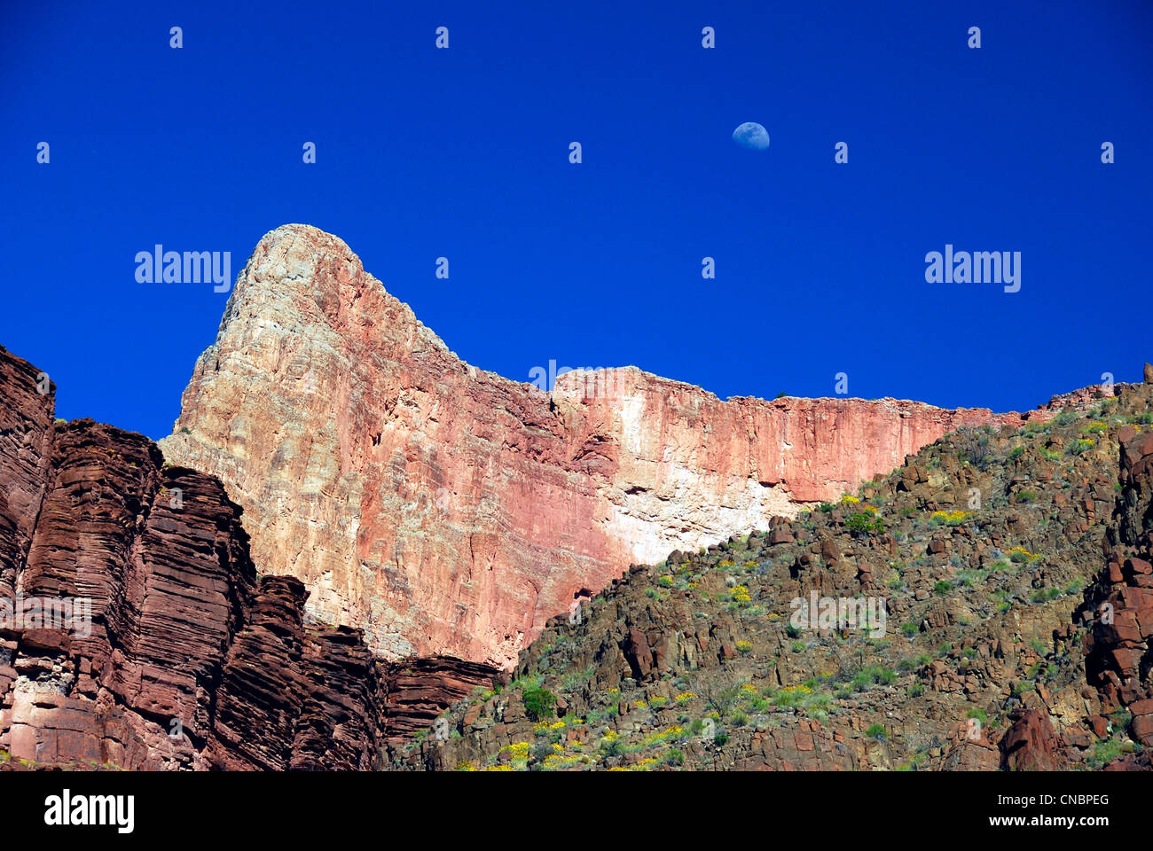 Moon over grand canyon arizona hi-res stock photography and images - Alamy