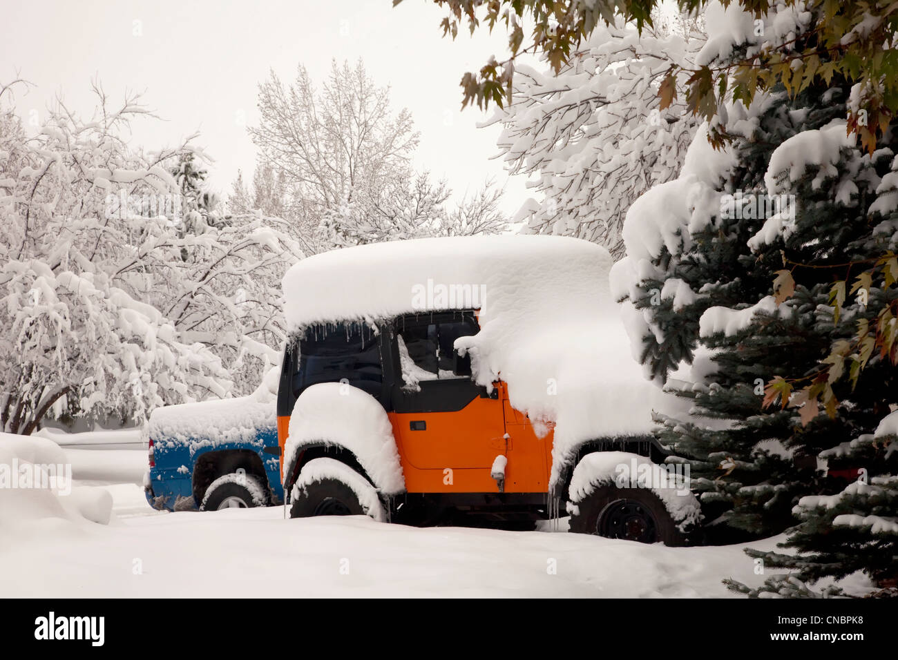 early morning driveway scene in Fort Collins, Colorado - cars after ...