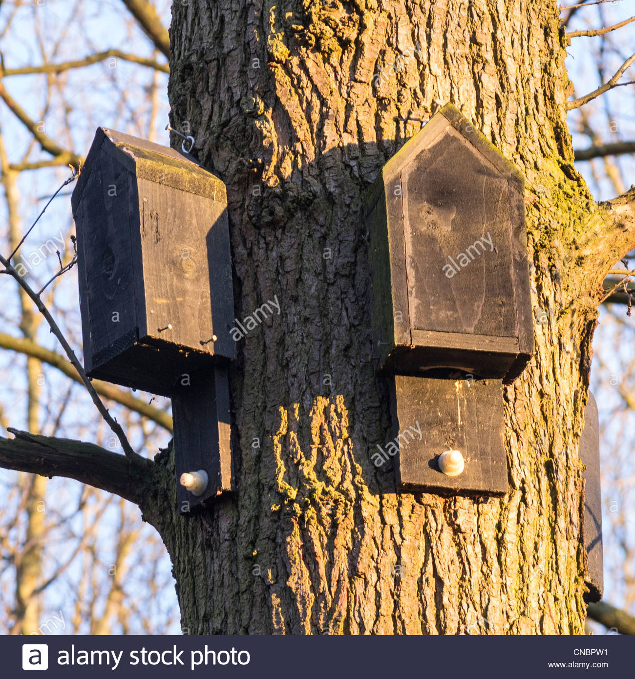 Bird Boxes Stock Photos & Bird Boxes Stock Images - Alamy