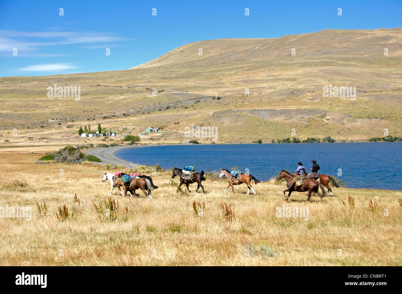 Gauchos and horses Laguna Azul Torres del Paine National Park Patagonia ...