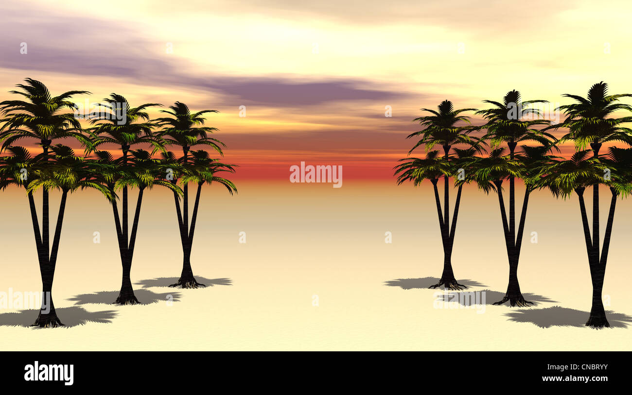 palm tree and sand Stock Photo - Alamy