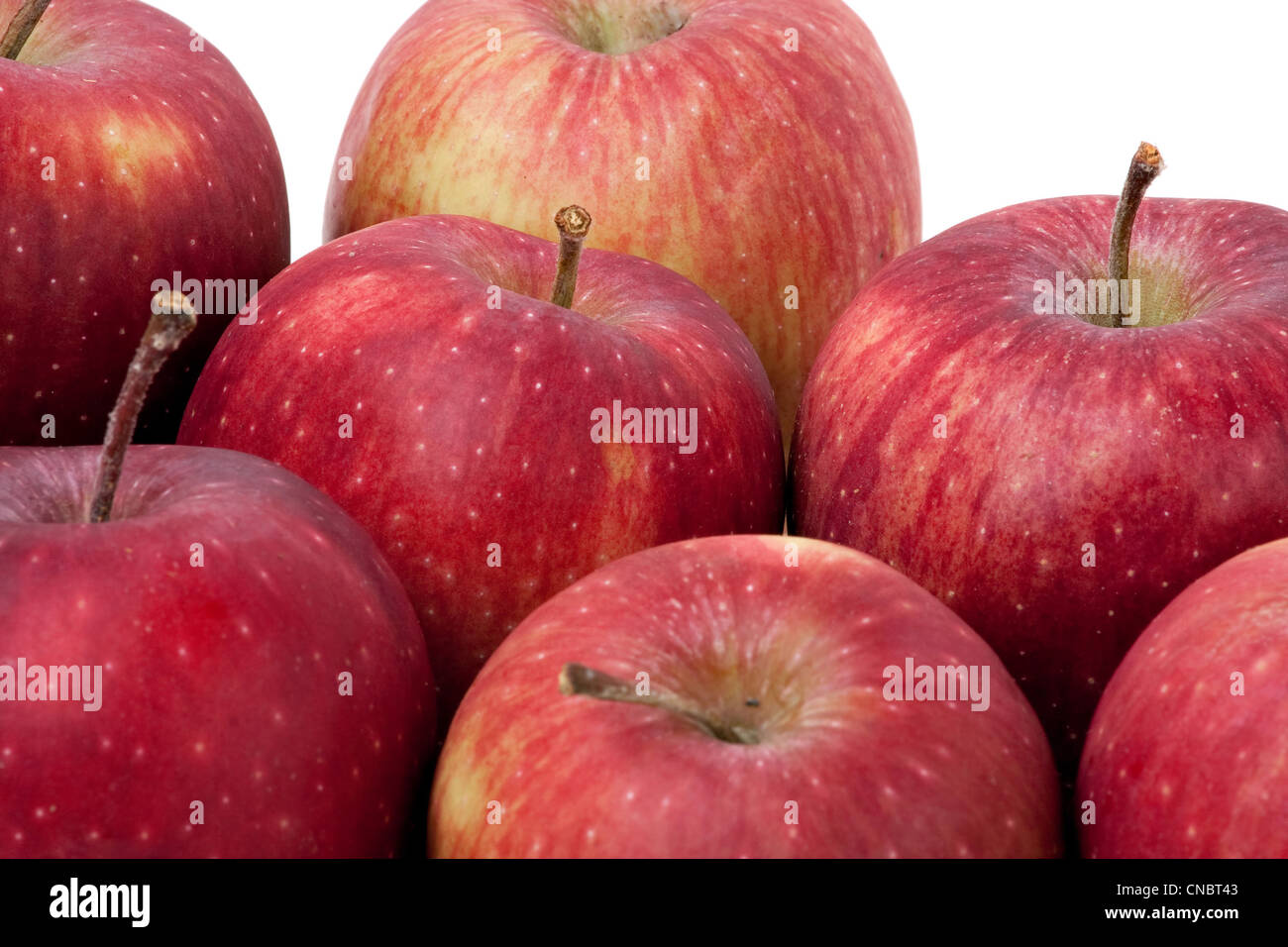 A close up of a group of red delicious grade apples isolated over white ...