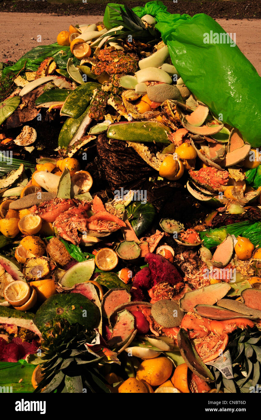 Compostable food container hi-res stock photography and images - Alamy