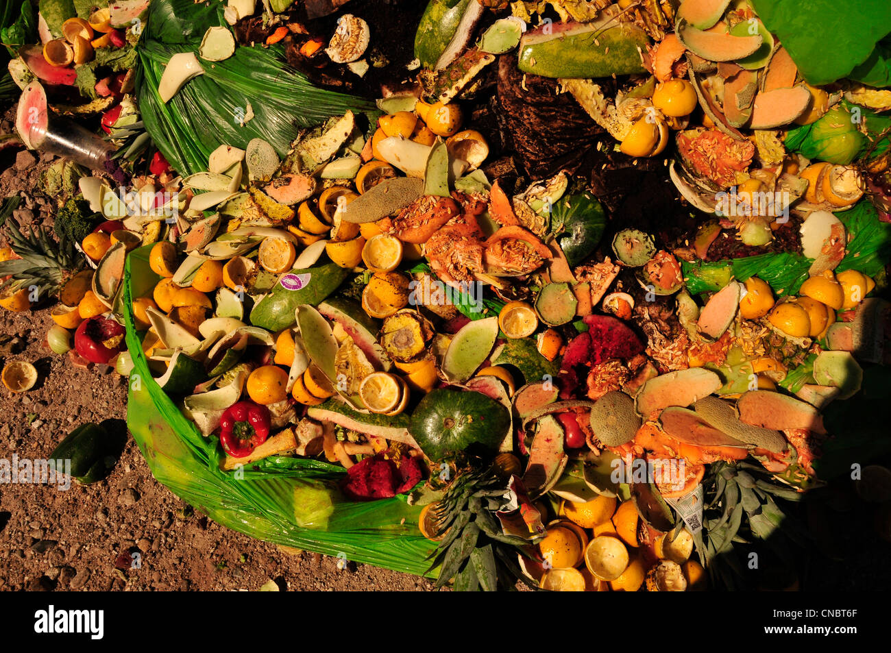 Food and compostable materials from restaurants and food vendors are ...