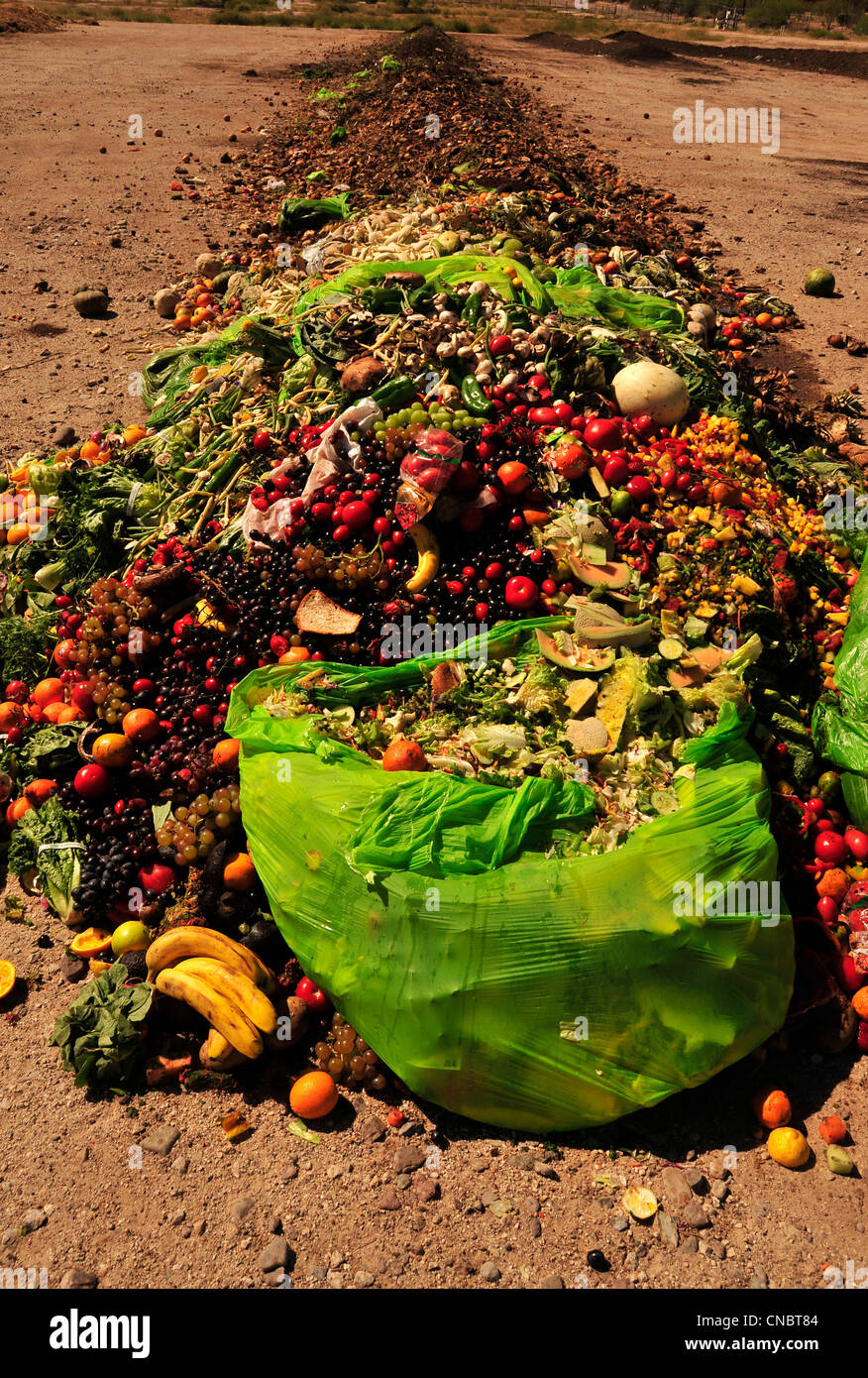 Food and compostable materials from restaurants and food vendors are ...