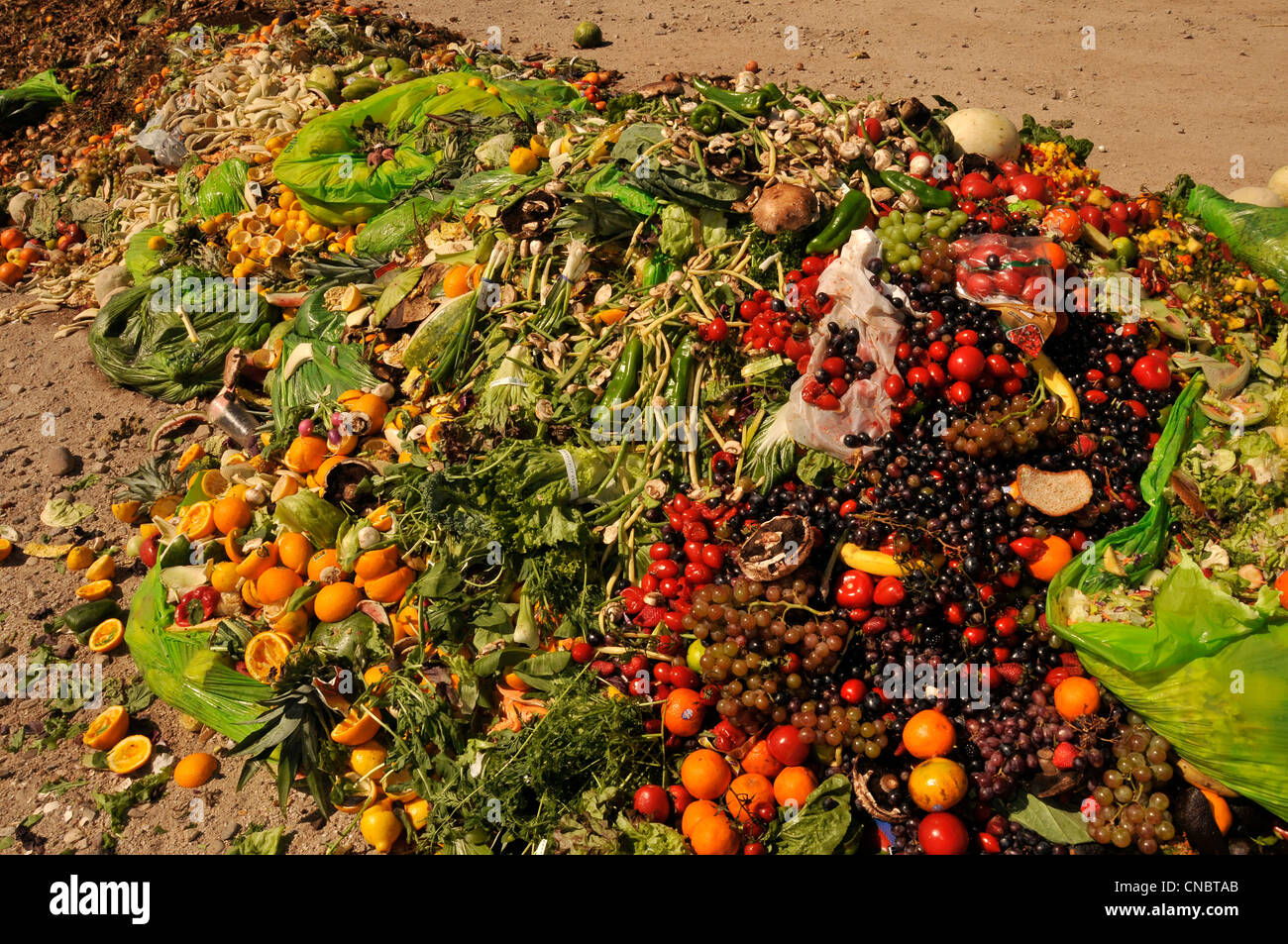 Compostable food container hi-res stock photography and images - Alamy