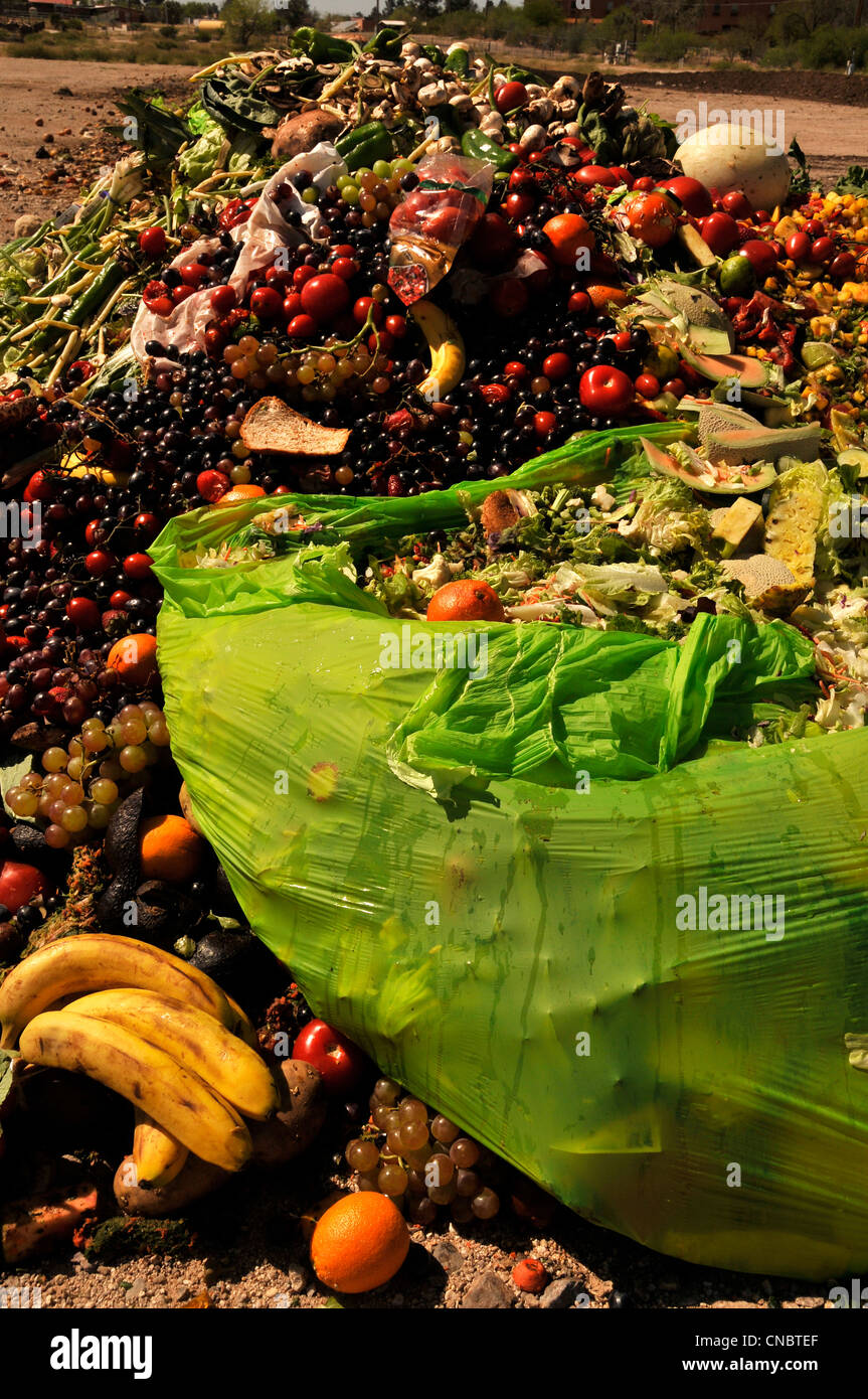 Food and compostable materials from restaurants and food vendors are ...