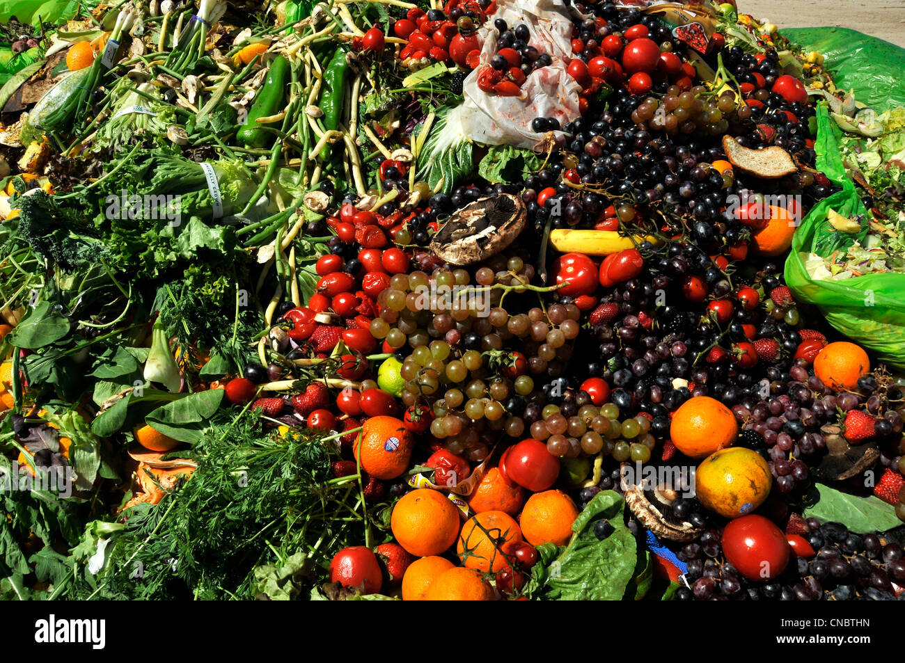 Food and compostable materials from restaurants and food vendors are ...