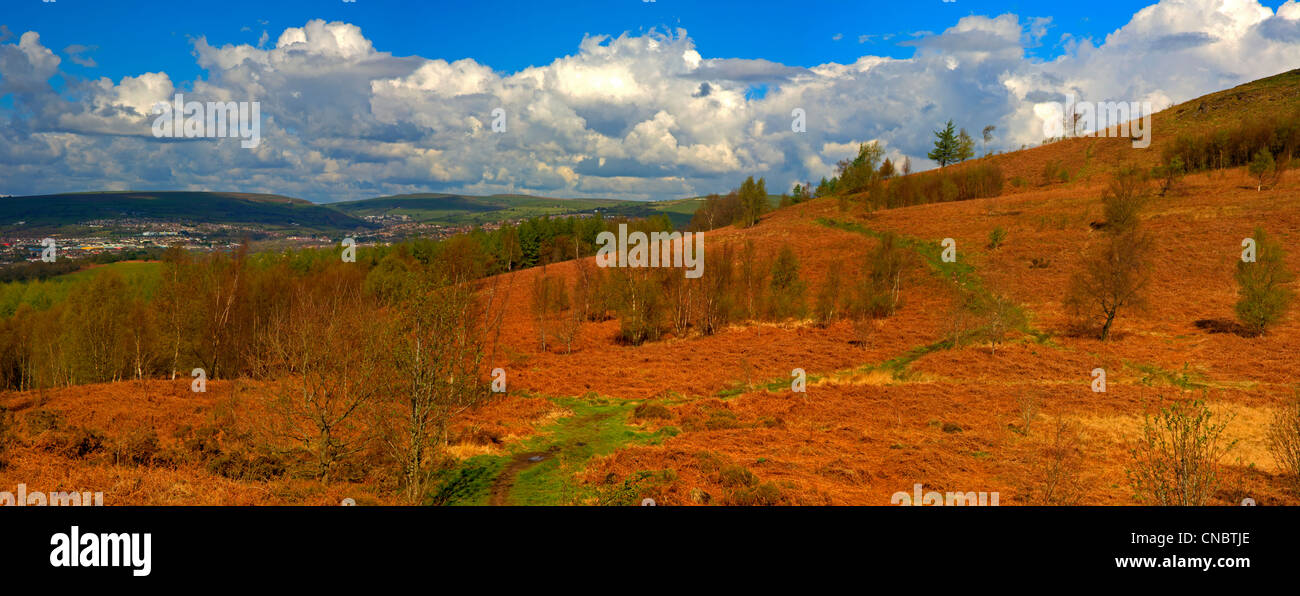 Rudry High Resolution Stock Photography and Images - Alamy