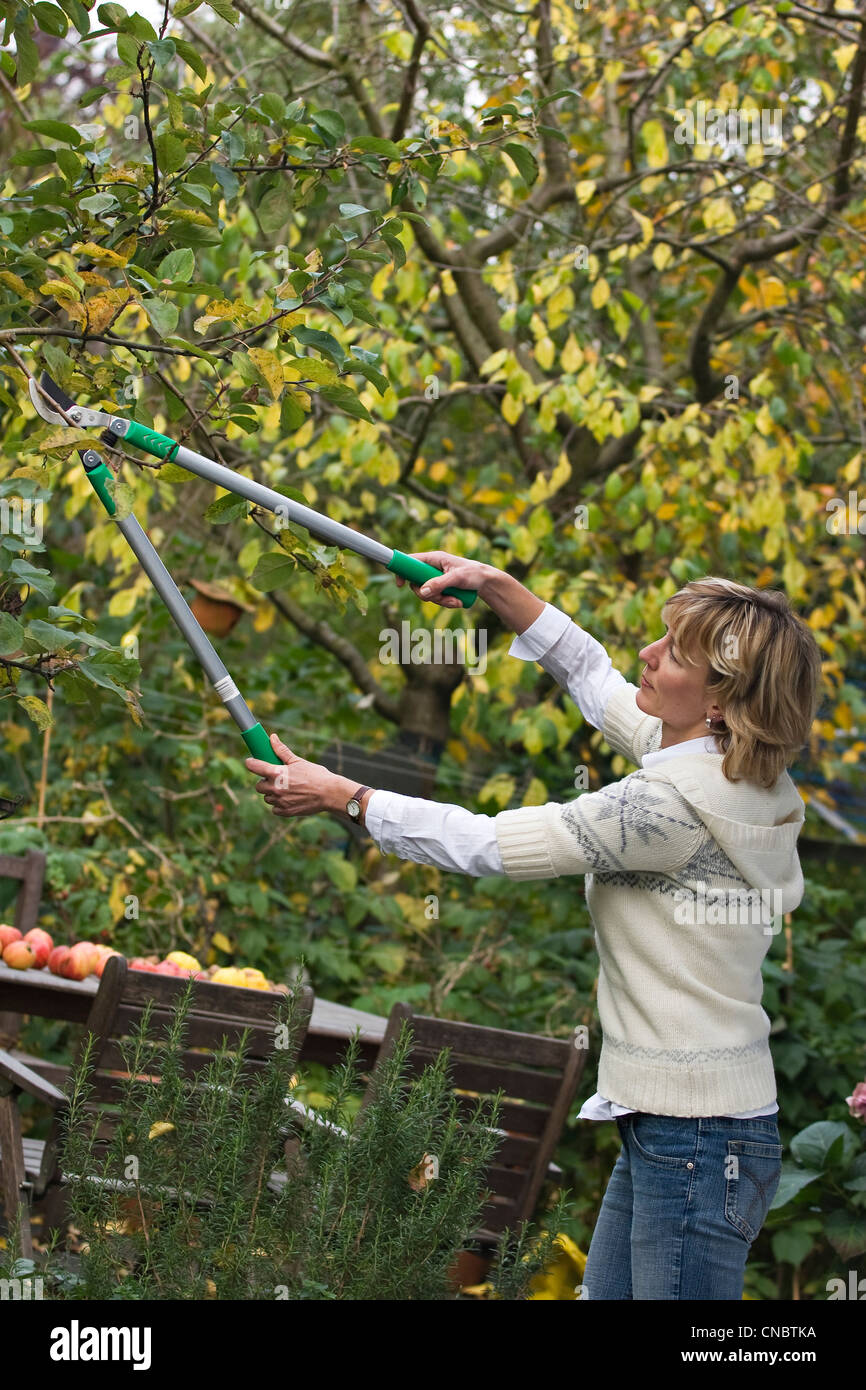 Lopping tree hi-res stock photography and images - Alamy