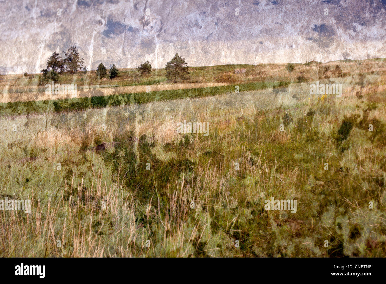Old field art hi-res stock photography and images - Alamy