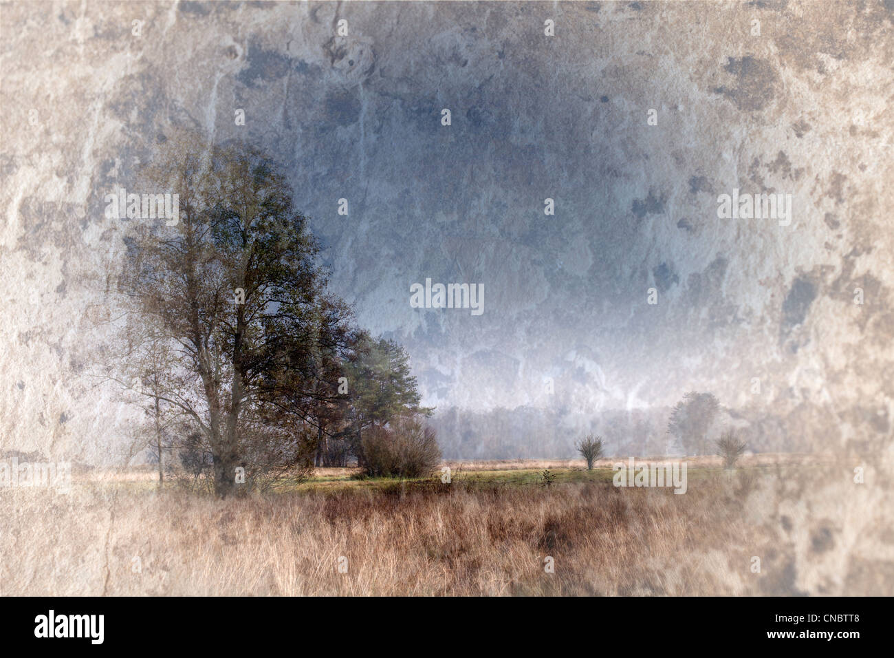 Vintage cottage postcard hi-res stock photography and images - Alamy