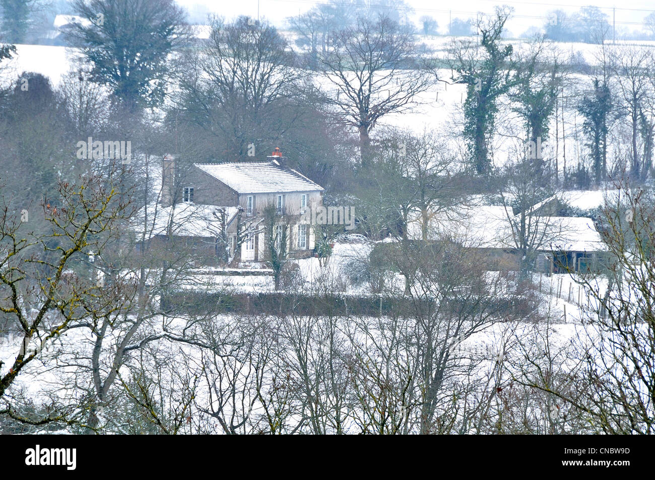 Snowy landscape: meadows and hedges with a farm, in winter, (Orne ...