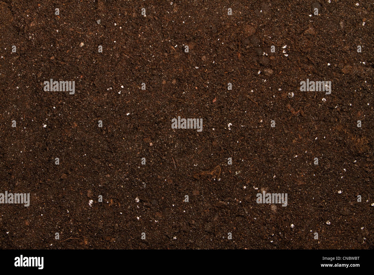 Peat soil hi-res stock photography and images - Alamy