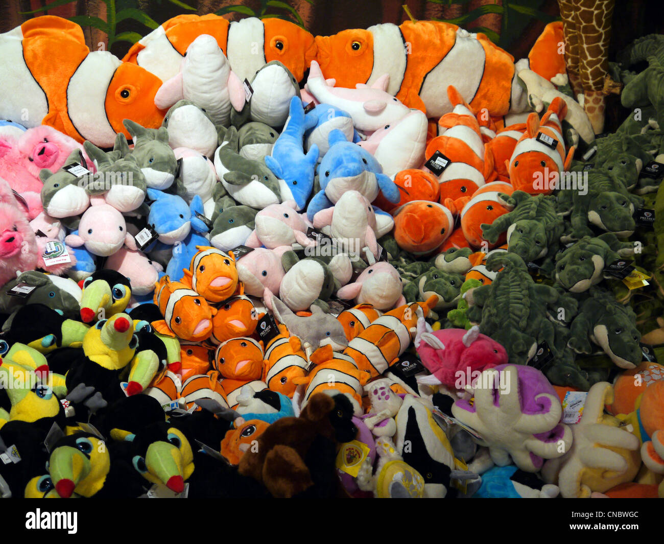 Cuddly birds hi-res stock photography and images - Alamy